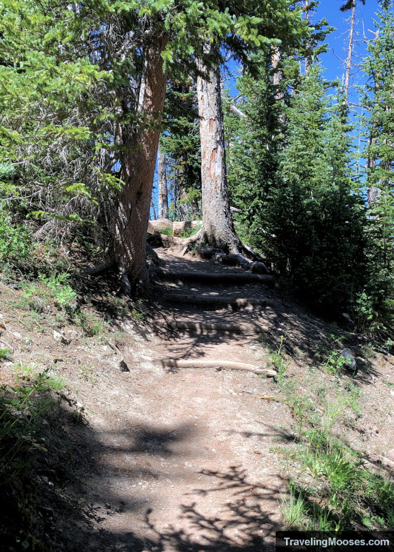 Alpine Pond Loop: A Short, Shaded Trail in Cedar Breaks | Traveling Mooses